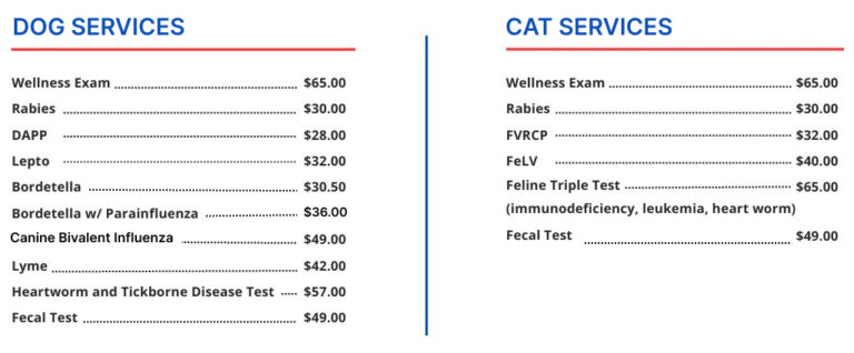 easyvet Fort Mill | Veterinarian Fort Mill, Indian Land, SC
